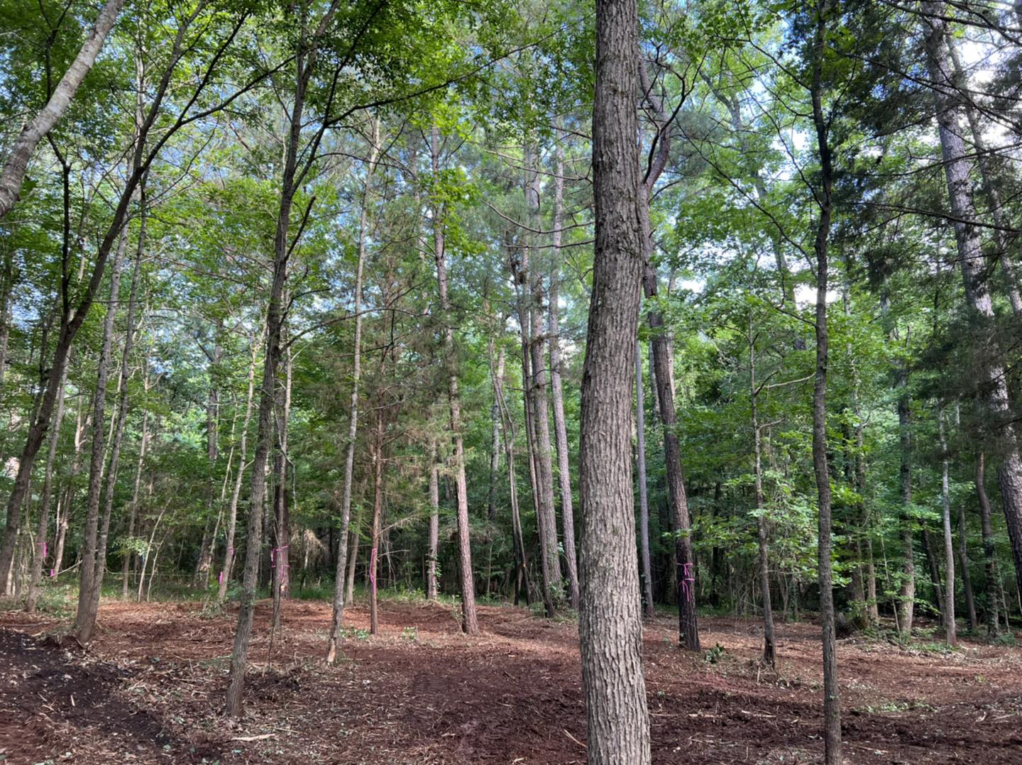 Projects - Solid 5 Construction & Remodeling