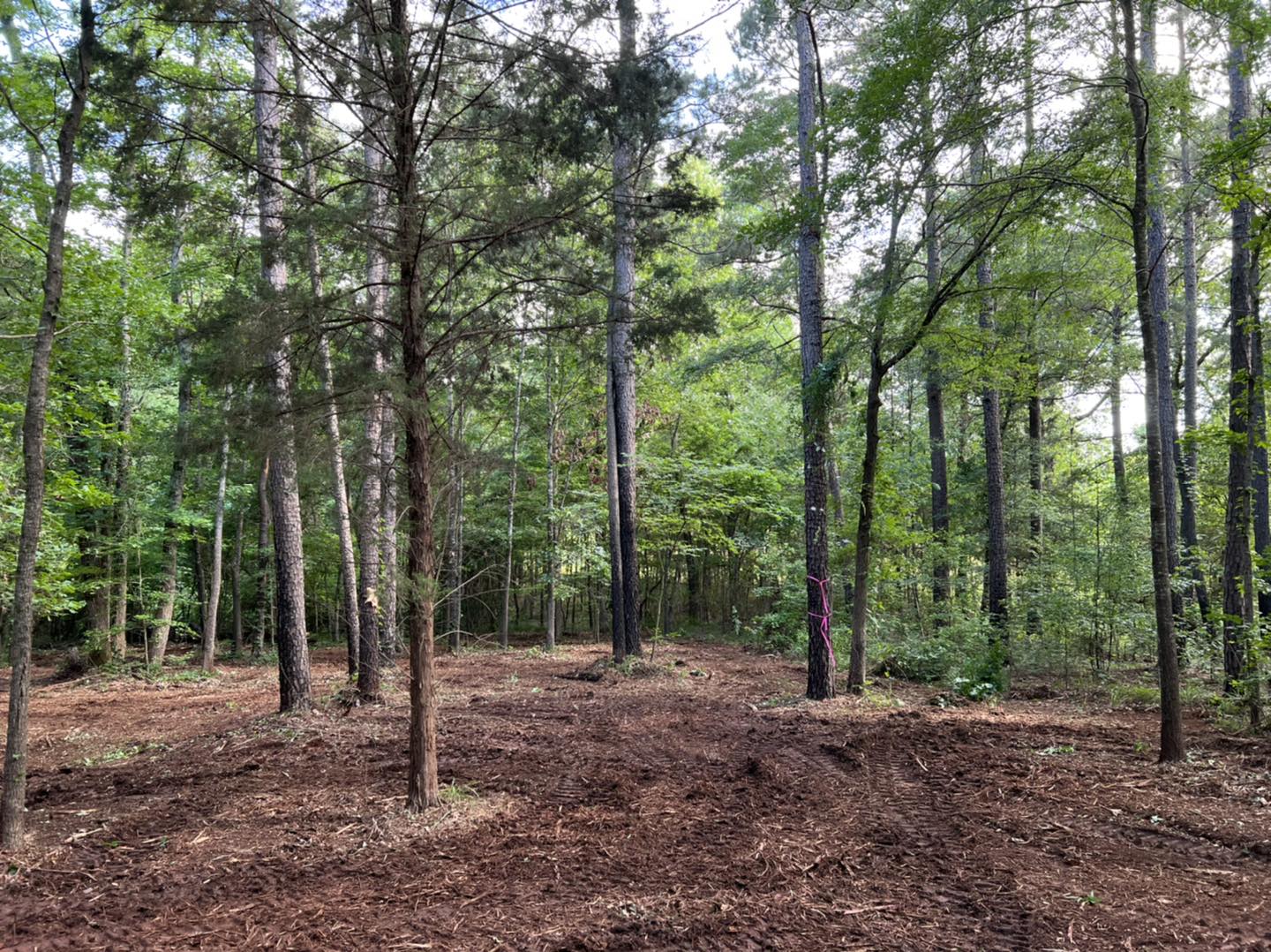 Projects - Solid 5 Construction & Remodeling